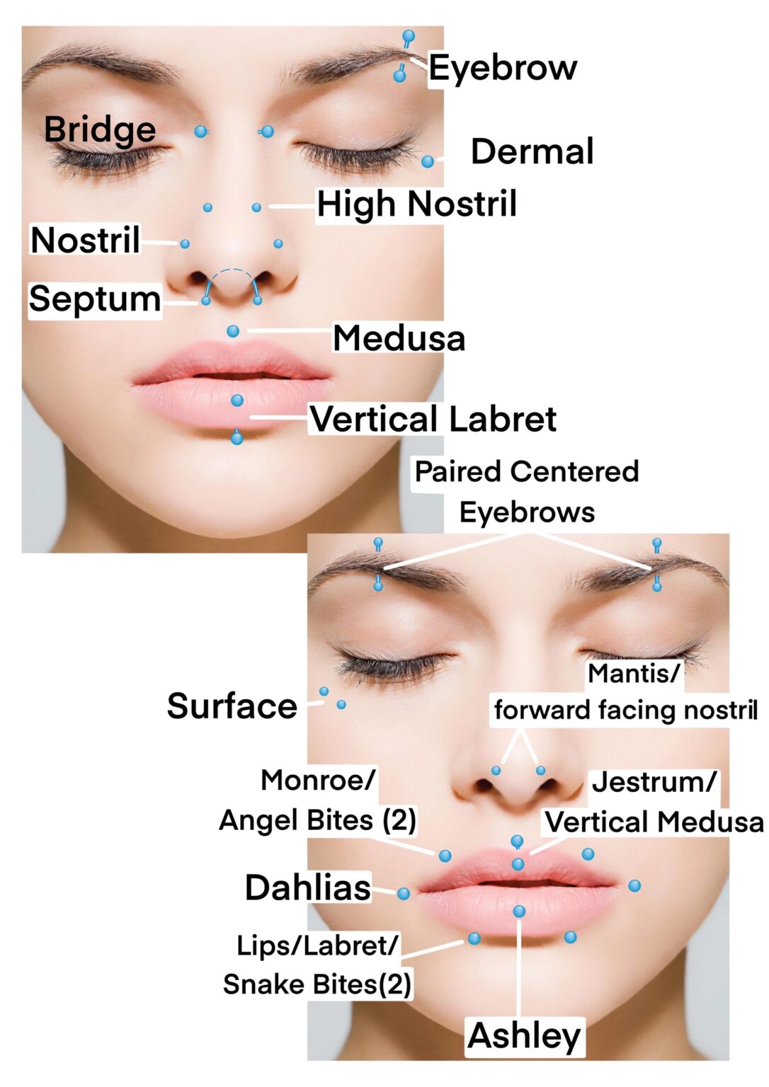 Piercing Placements On Your Body | 7 Souls Tattoo